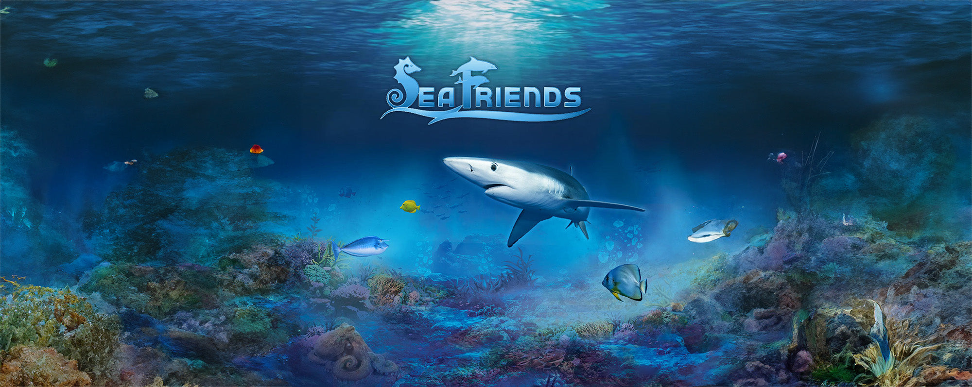 SeaFriends.biz – SeaFriendsBiz